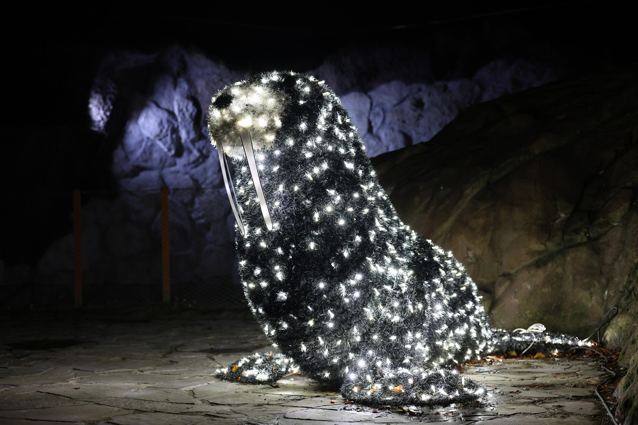 Christmas Time 2024 | Pairi Daiza