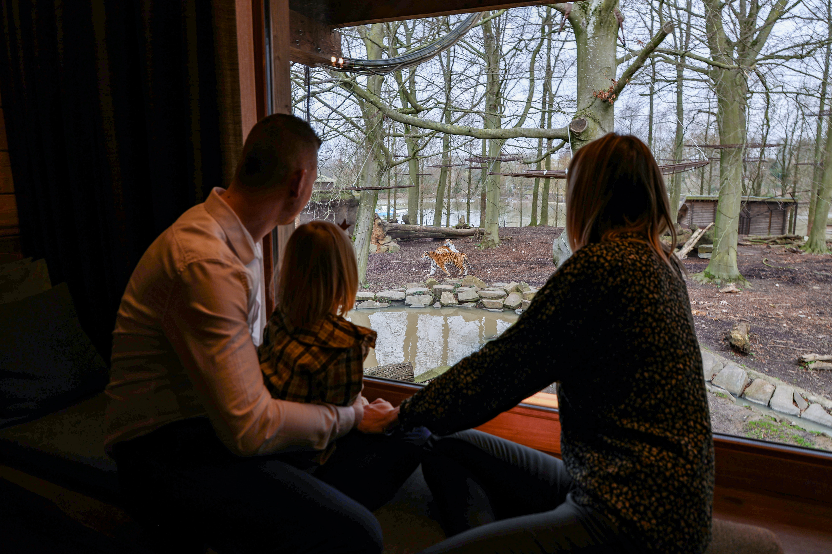 Tiger House | Pairi Daiza