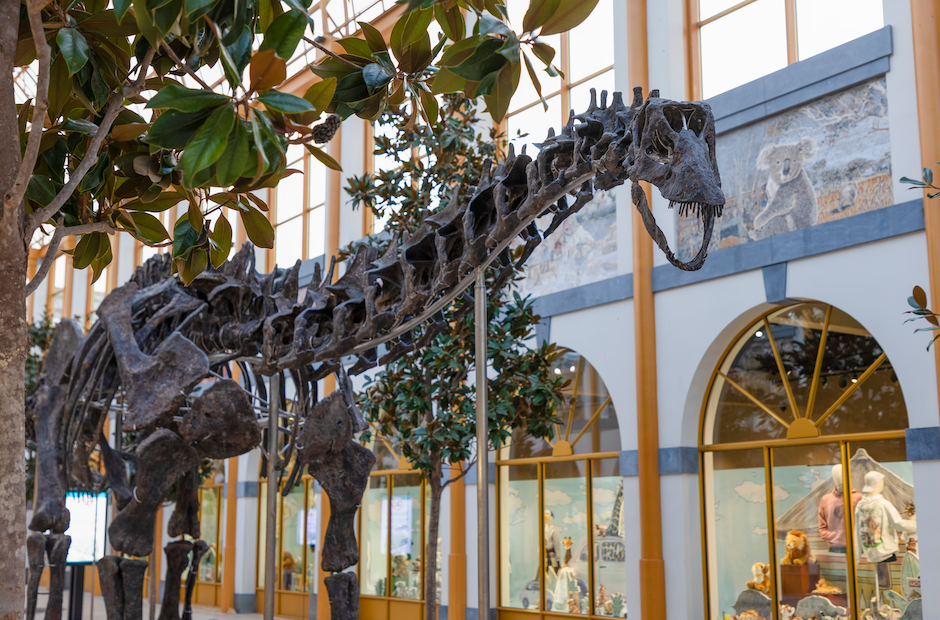 Lands of the Past | Pairi Daiza