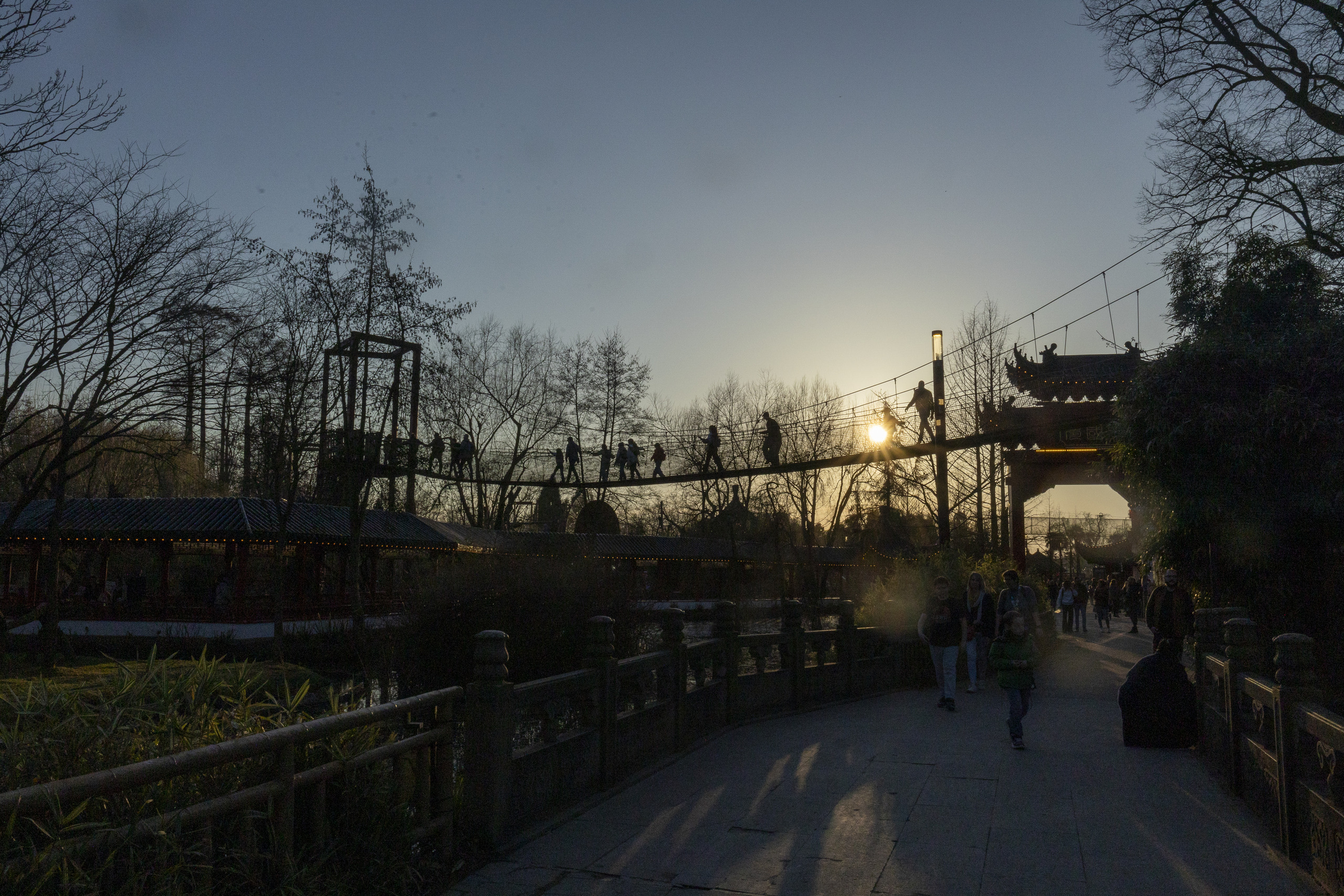 The suspended bridge | Pairi Daiza