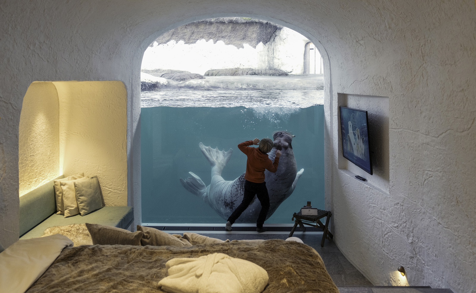 Walrus House | Pairi Daiza