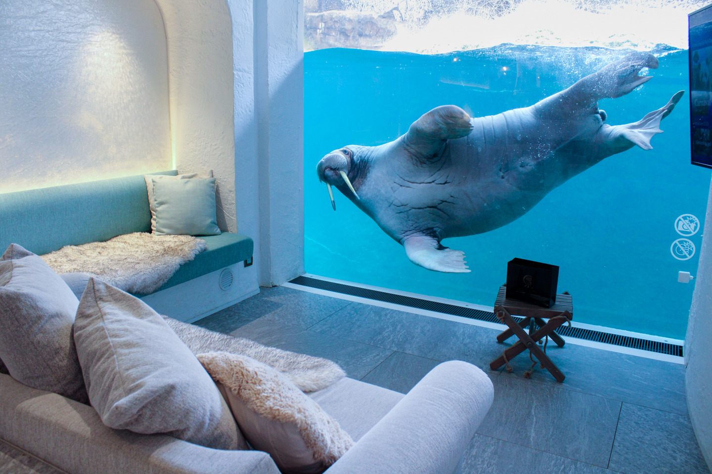 Walrus House | Pairi Daiza