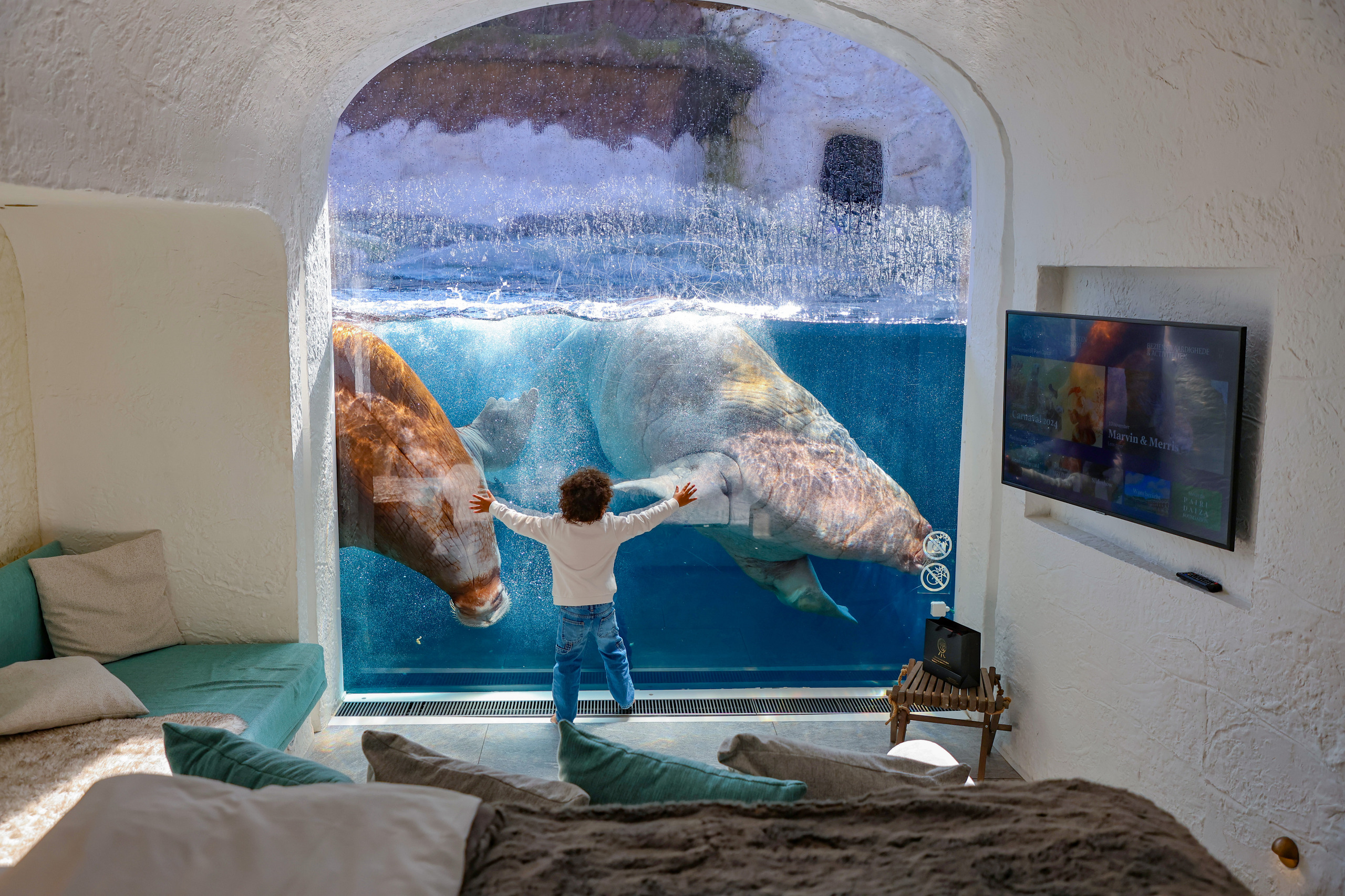 Bijzonder hotel | Overnacht tussen de dieren | Pairi Daiza