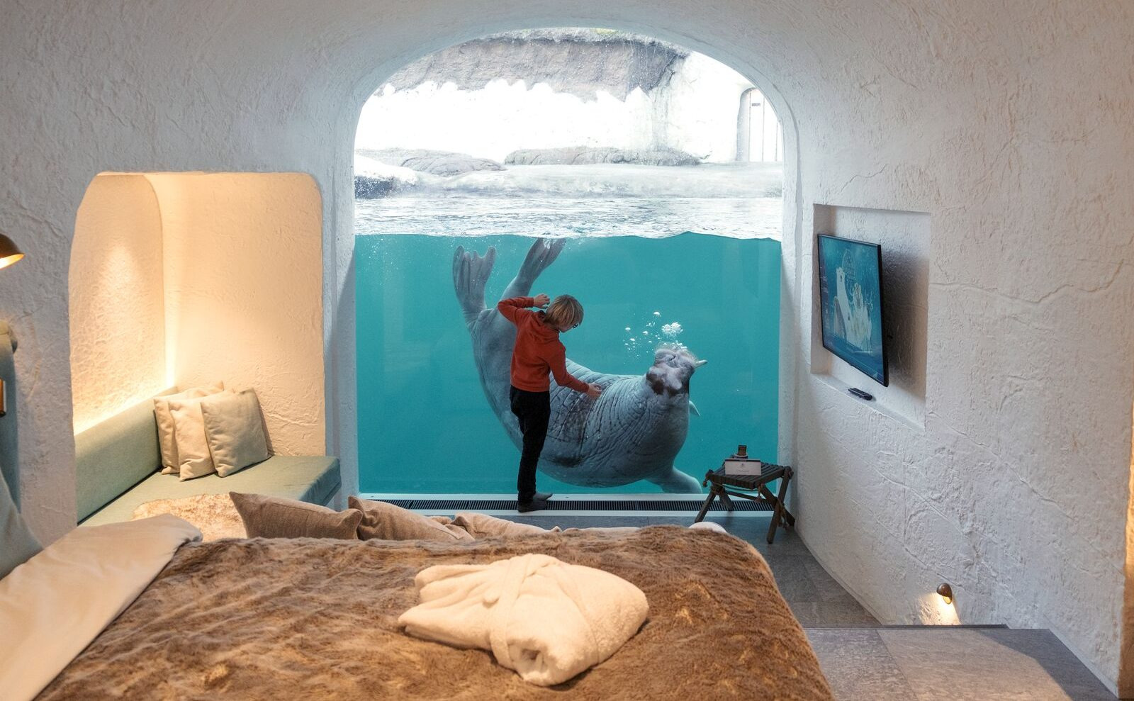 Walrus House | Pairi Daiza