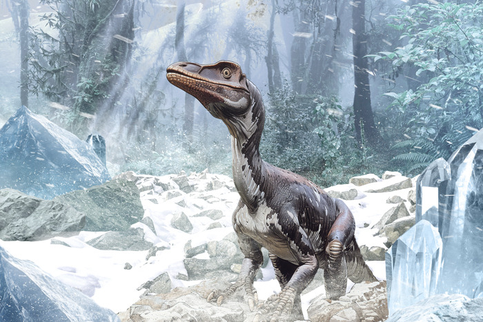 Polar Zone | Pairi Daiza