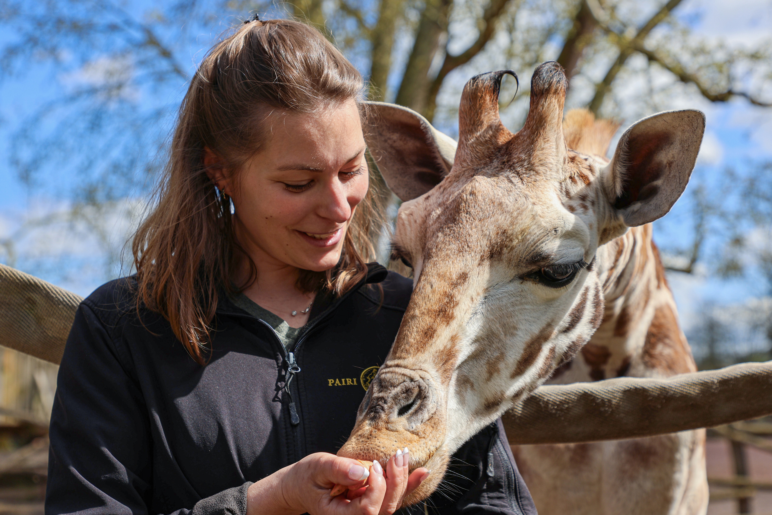 Pairi Daiza Experiences | Pairi Daiza