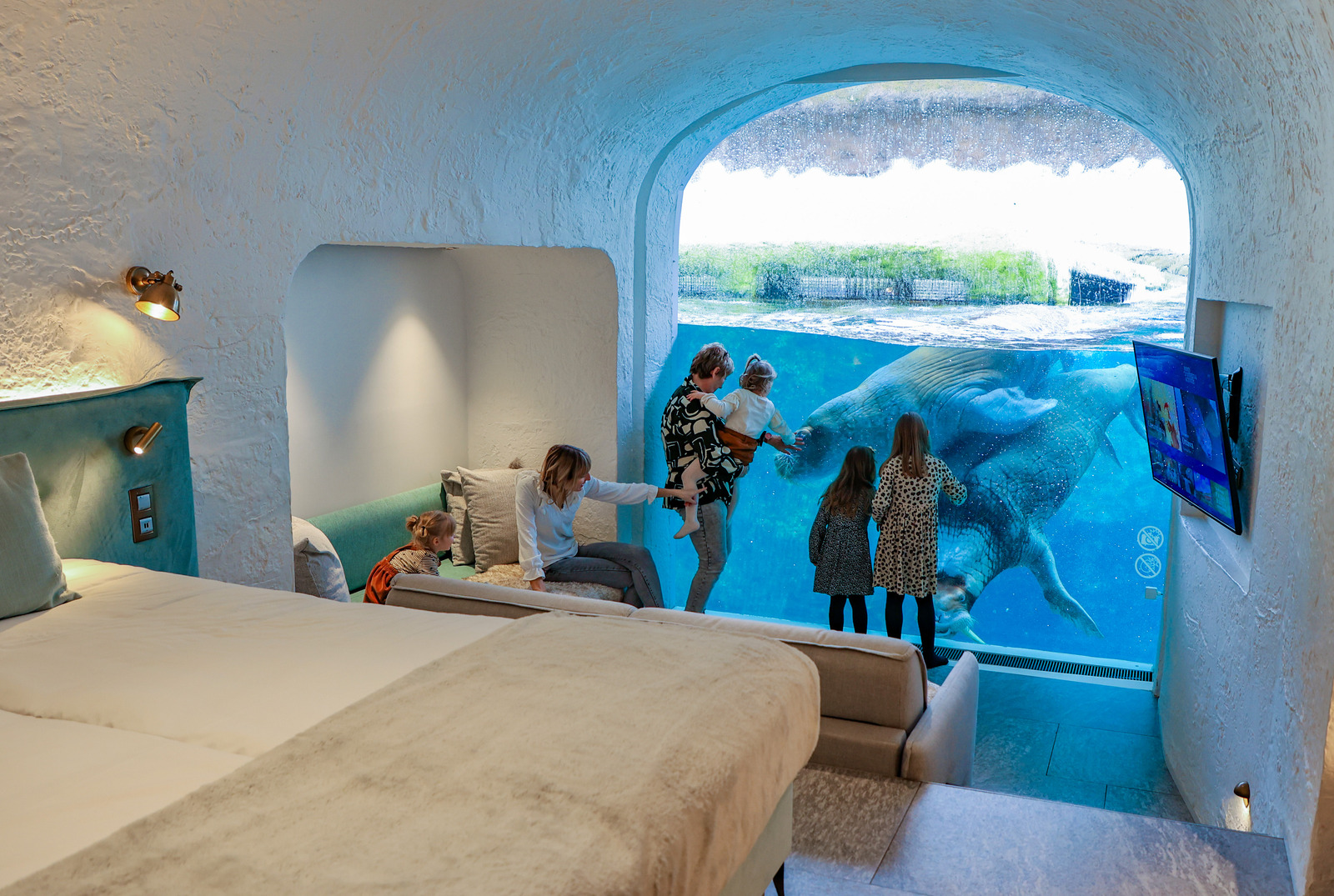 Walrus House | Pairi Daiza