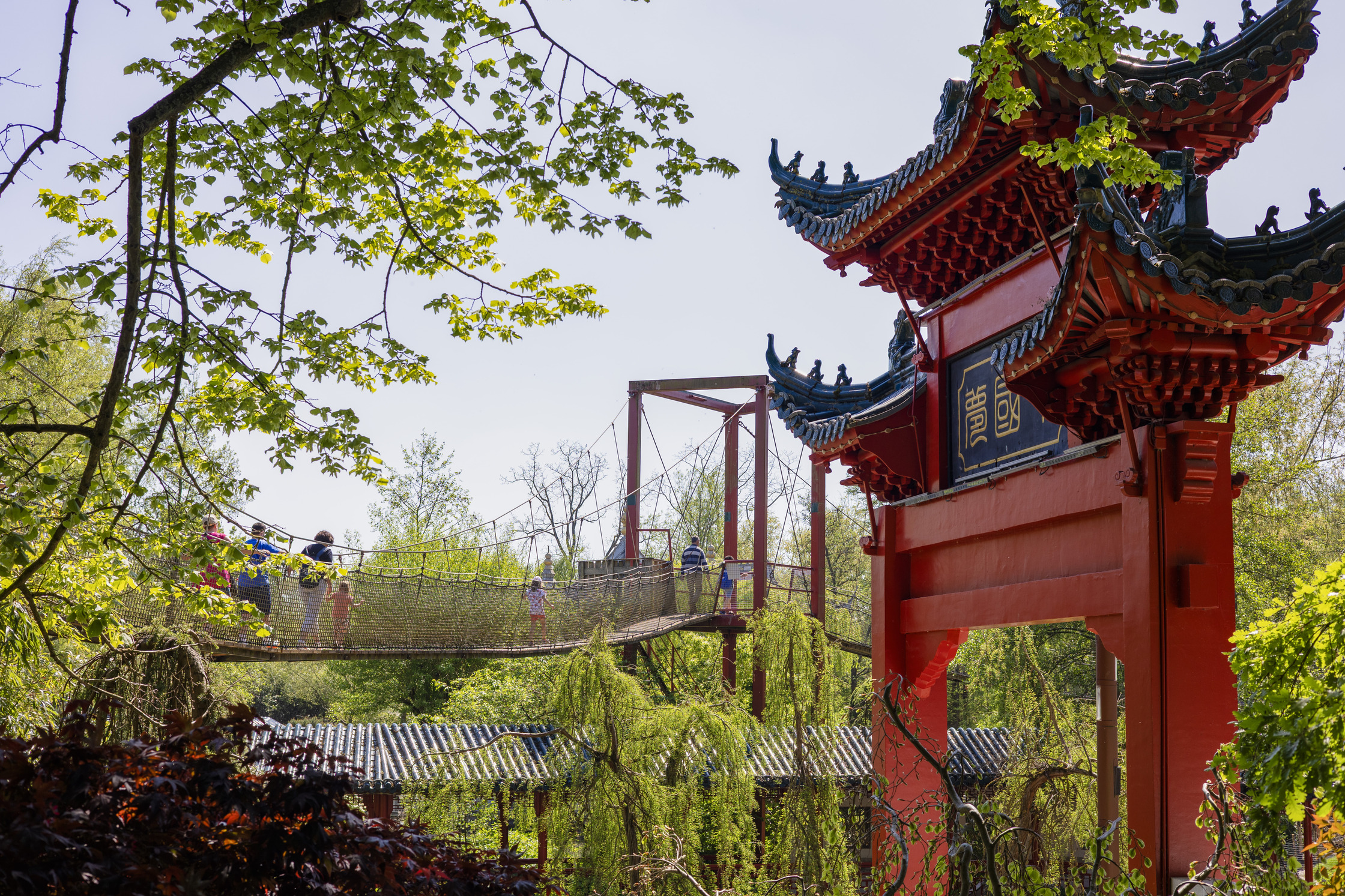 Activités | Pairi Daiza