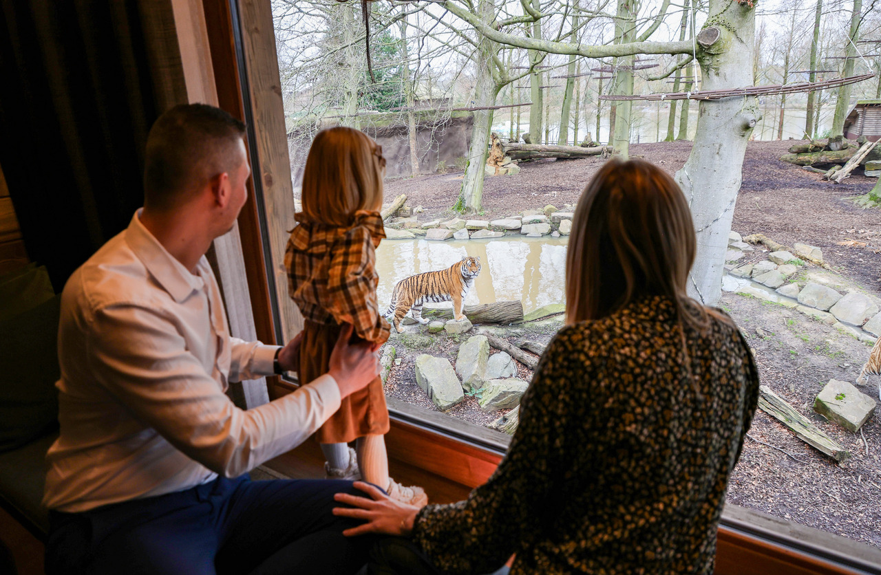 Tiger House | Pairi Daiza