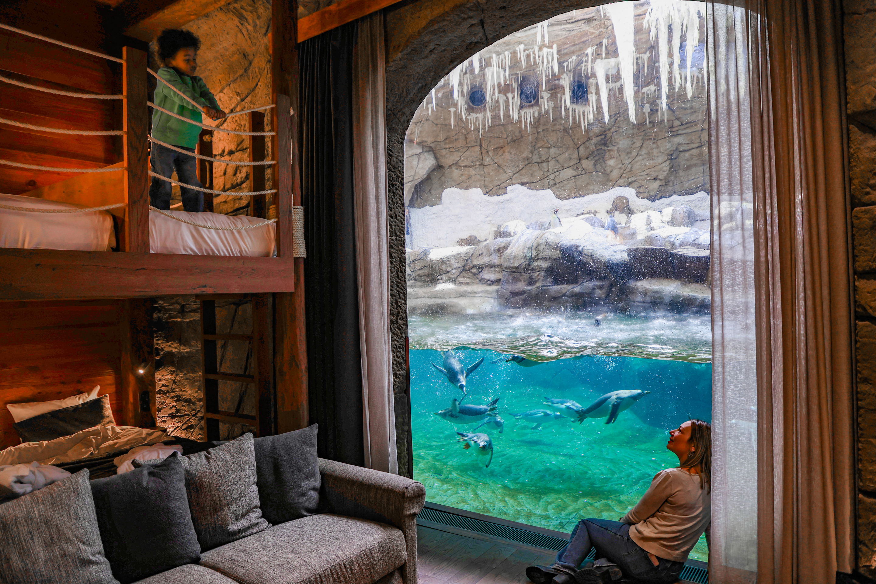 Penguin House | Pairi Daiza