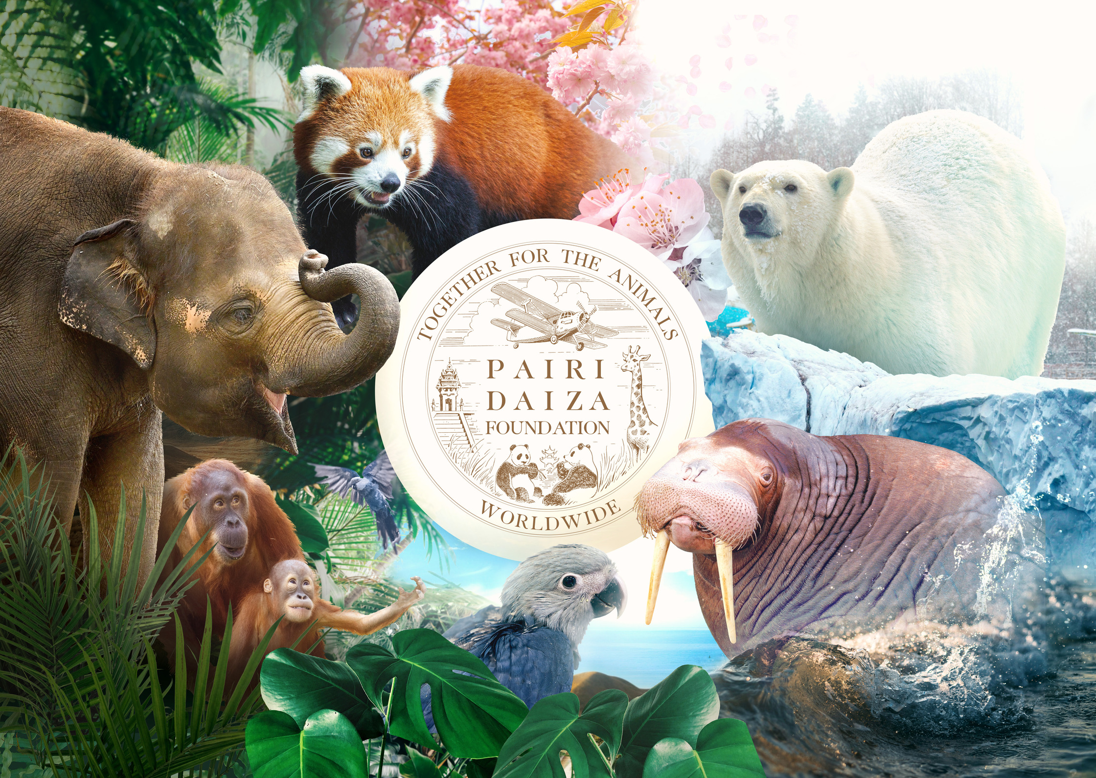 Fondation - les projets | Pairi Daiza