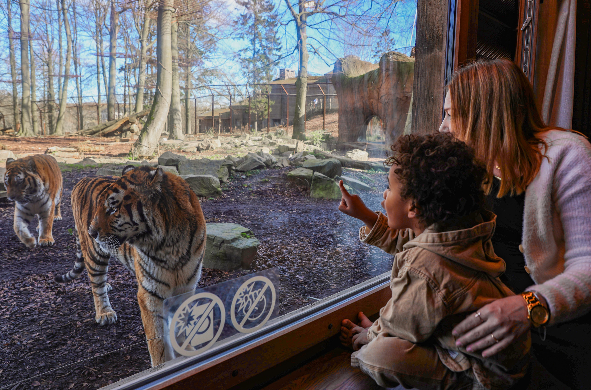 Tiger House | Pairi Daiza