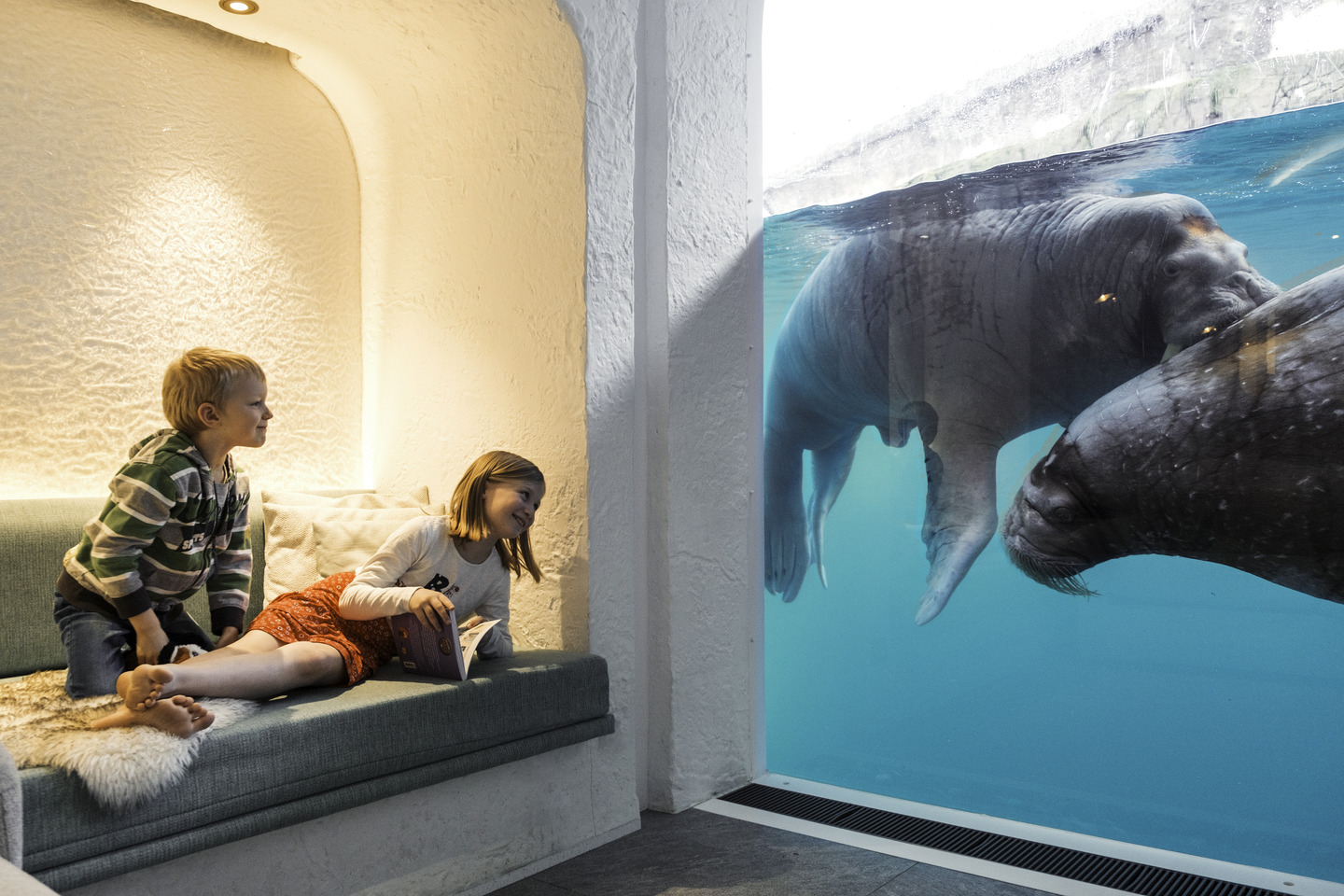 Pairi Daiza Resort | Overnachten in de dierentuin