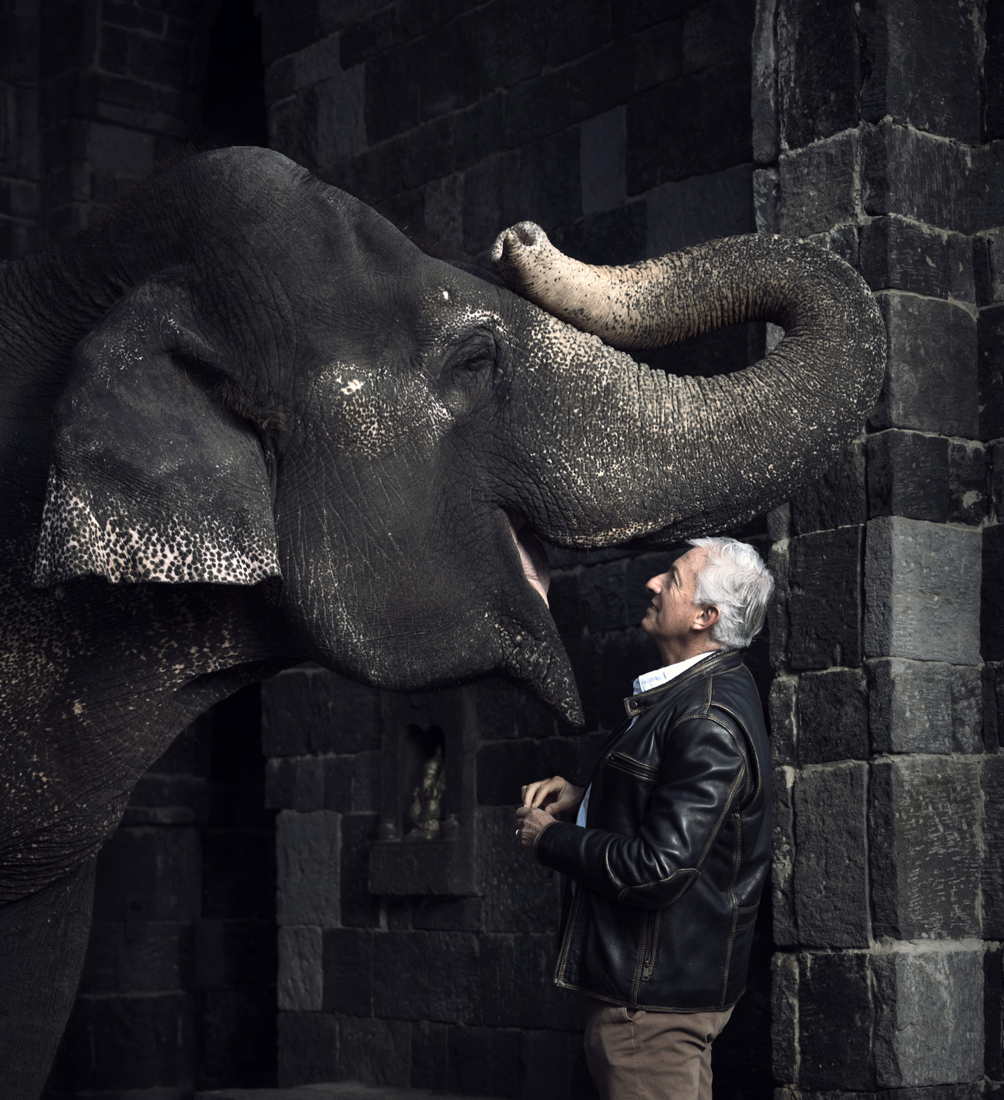 30 ans | Pairi Daiza