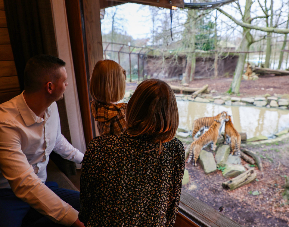 Tiger House | Pairi Daiza