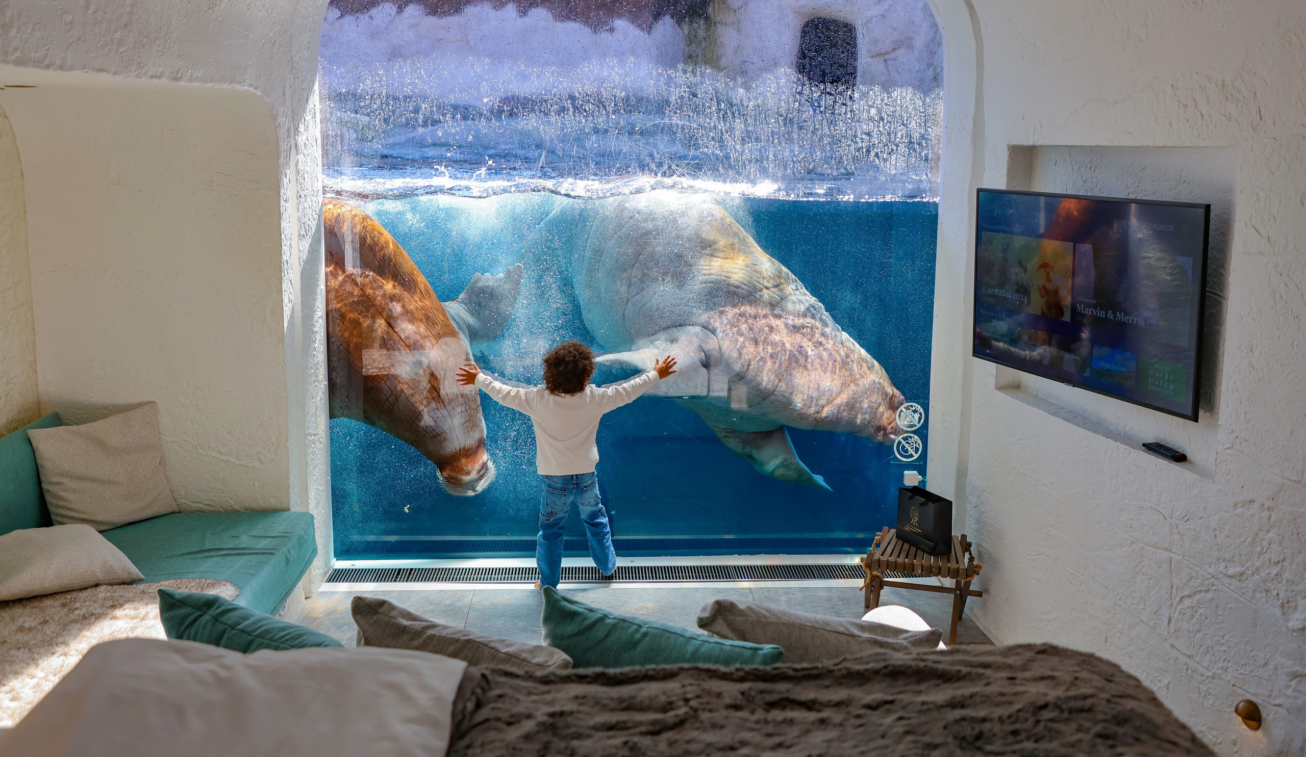 Walrus House | Pairi Daiza