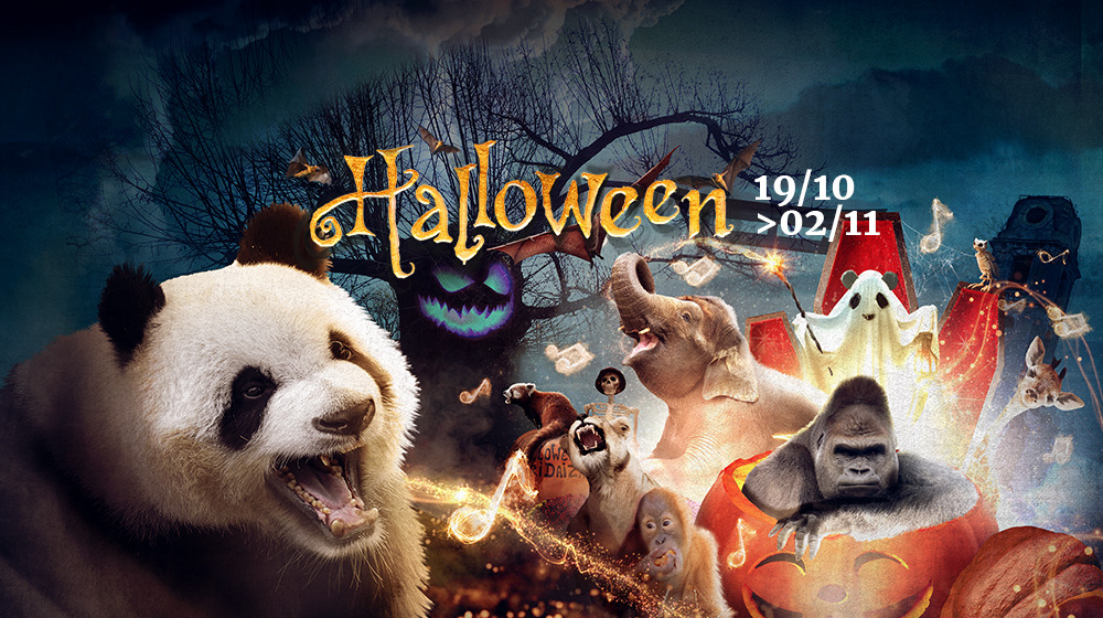 Le Varan de Komodo | Pairi Daiza