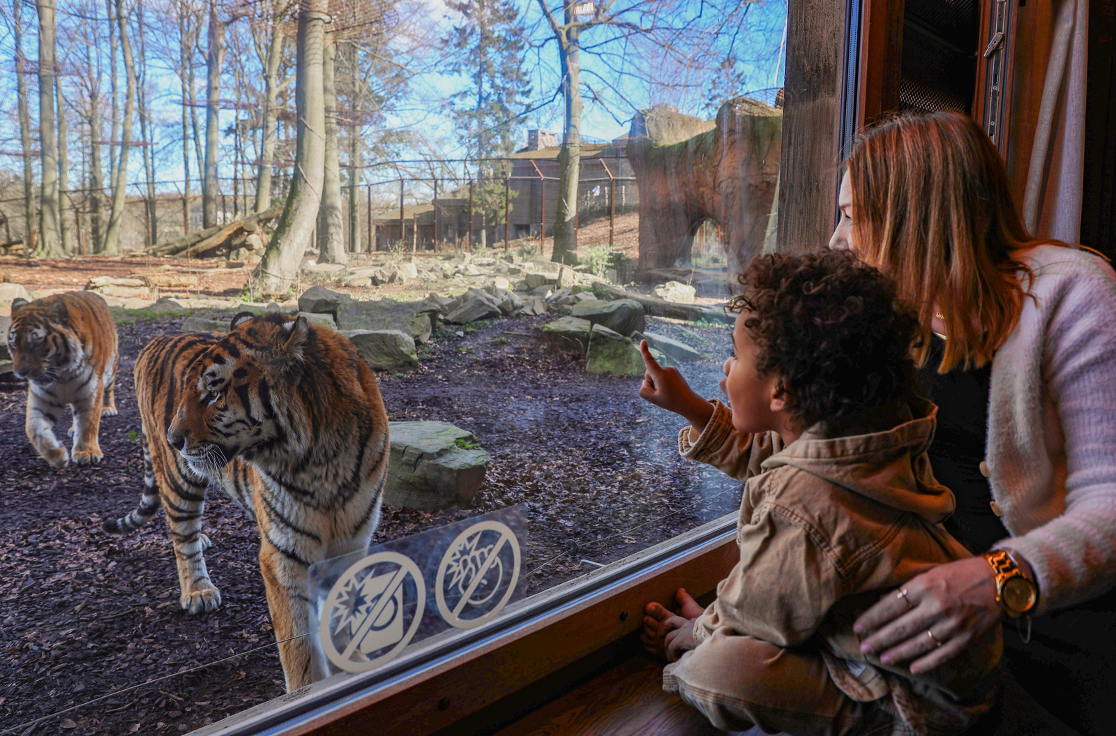 Tiger House | Pairi Daiza